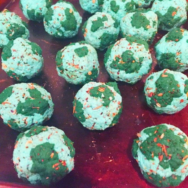 Earth Day Wildflower Seed Bombs | barque & bite